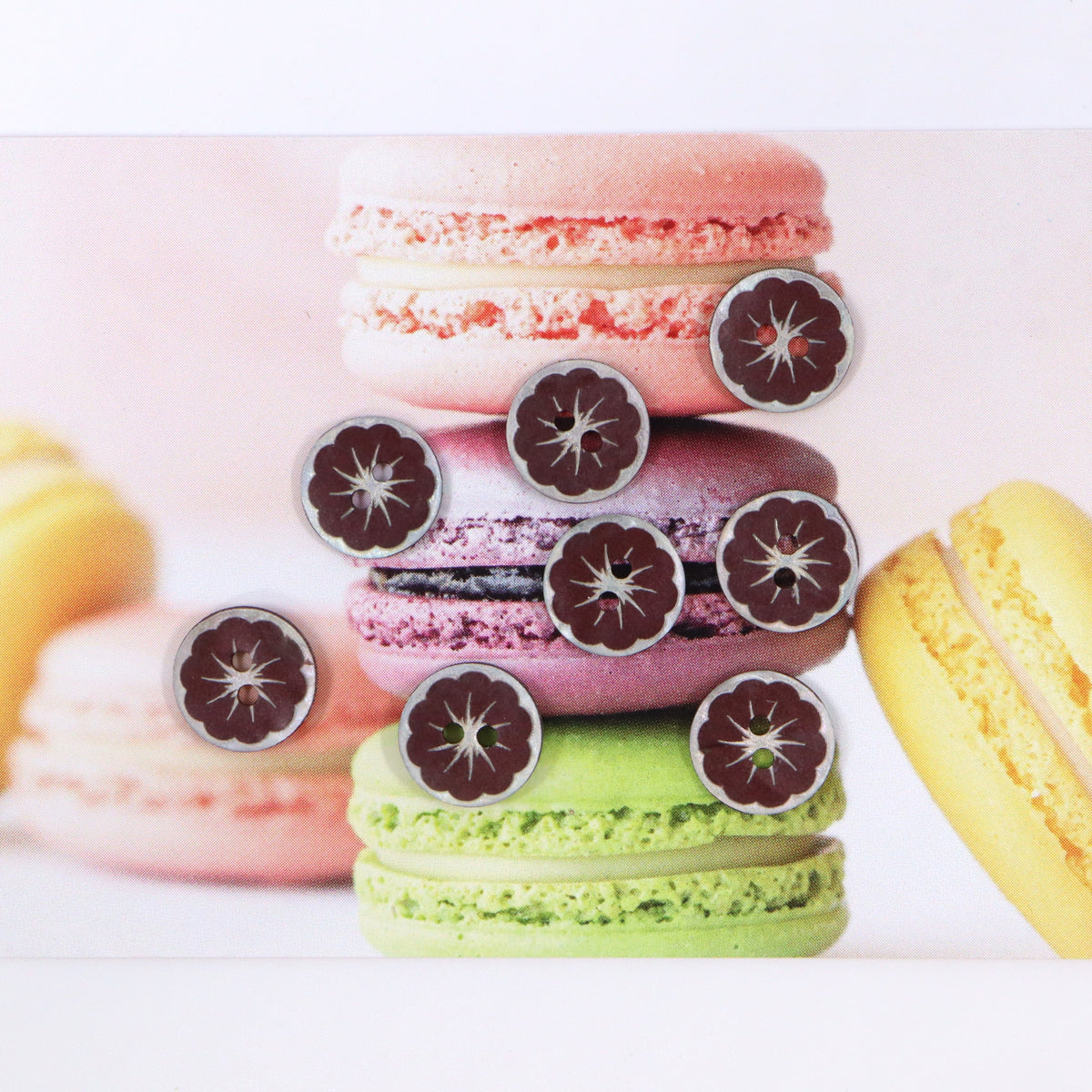 Buttons (Set of 8) - Mocha Flower | Shell | 12mm – Cloth Edit